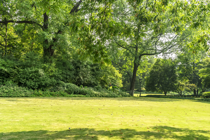 Foundry Wood | Short Let Space